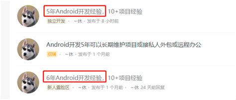 5年android开发经验，10 项目经验 电鸭社区