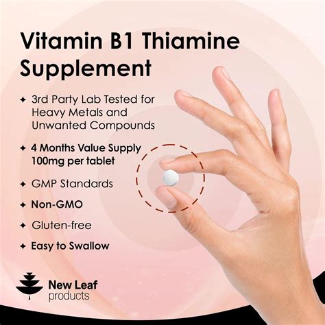Vitamin B1 Thiamine 100mg Supplement 4 Months Supply Heart And Immune