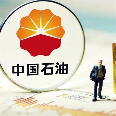 中石油净利润7316亿，董事长戴厚良回答了这些问题能源公司天然气