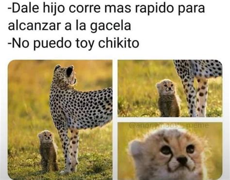 Ta Chikito Meme Subido Por Unai 20071 Memedroid