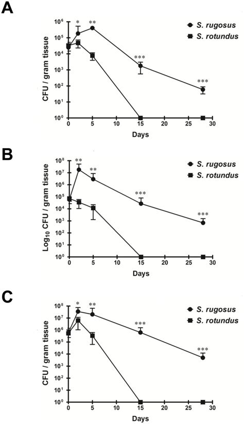 C57bl6 Mice Were Injected Intravenously With 107 Cfu Of S Rugosus And