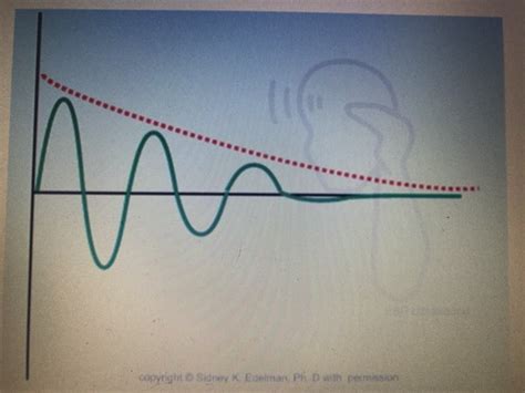 Dms 216 Physics Ch 6 Flashcards Quizlet