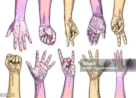 최대 Multiracial 주먹 손입니다 개념의 예 수 통일 혁명 싸움 협력 잉크 디자인입니다 텍스트 위한 공간 팀웍의 창조적