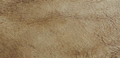 All You Need To Know About Lambskin Leather Leather Jacket Shop
