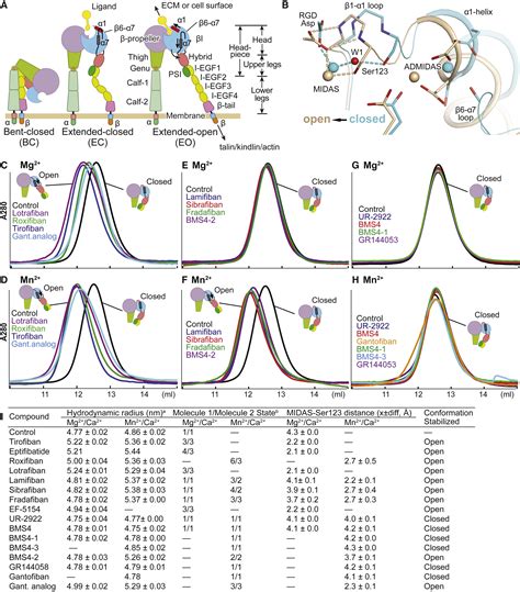 A General Chemical Principle For Creating Closure Stabilizing Integrin Inhibitors Cell