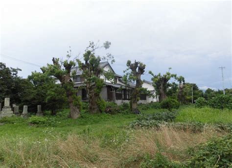 歴史散歩《26番》流出防止のクネ 高田びわのす通信