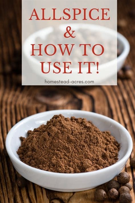 What Is Allspice And How To Make A Substitute Homestead Acres