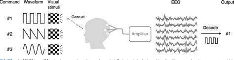 waveform coded steady state visual evoked potentials for brain computer