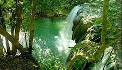 Rasakan Sensasi Bulan Madu Di Pulau Moyo