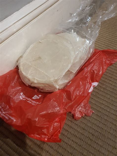 Capiz Shells On Carousell