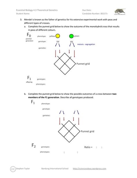 Essential Biology 43 Theoretical Genetics Docx Genetics Science