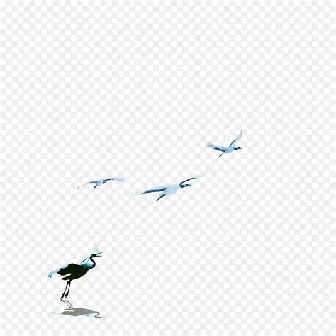 鹤PNG图片素材下载 图片编号ydxvnjze 免抠素材网
