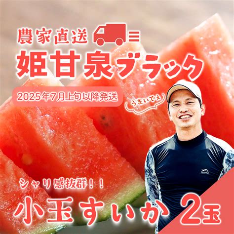 先行予約 2025年7月上旬以降発送 】八千代町産 小玉スイカ 姫甘泉ブラック 1箱（2玉入） 黒皮 すいか Sf004ya 茨城県