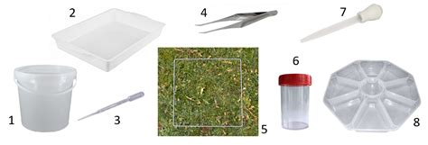 Kick Sampling Hoopoe A Blog By Nhbs