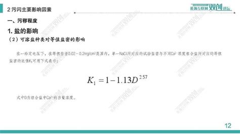 焦点中国电科院 黄瑞平输电线路防污闪与绝缘子零值检测 电网 能源 黄瑞平