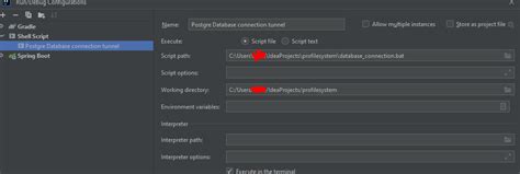 Run Configurations For Spring Service And Batch Script In Intellij