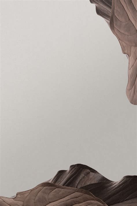 怪物的叶子在白色背景上是孤立的叶子在白色背景上是叶子素材 高清图片 摄影照片 寻图免费打包下载