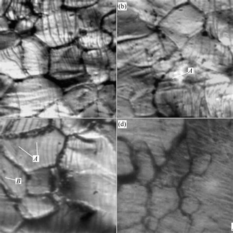 Microstructures Of Specimens Deformed At 523 K And 120 N A 120 S Download Scientific