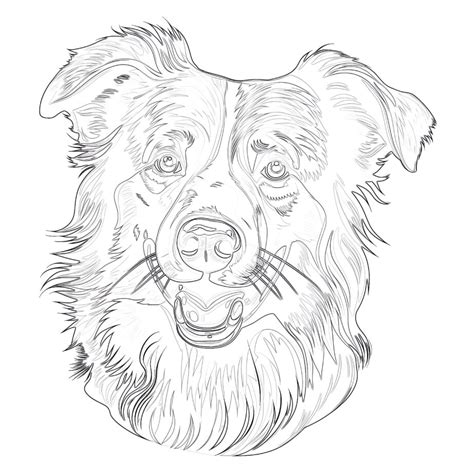 Coloring Pages Dog Lassie 2025