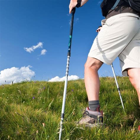 养生：喝枸杞红枣鸡汤的好处滋补维生素功效