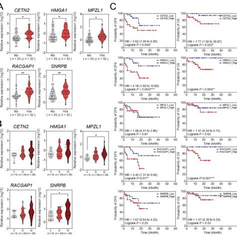 The Relationship Between Gene Expression And Clinicopathological