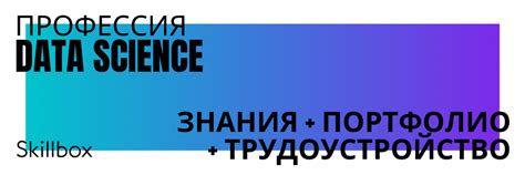 Виды Количественный и качественный Анализ данных на Python