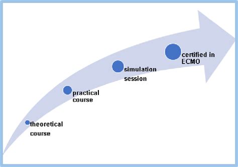 ECMO Training Program Stages Download Scientific Diagram