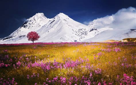 Fields With Mountain Wallpapers Wallpaper Cave
