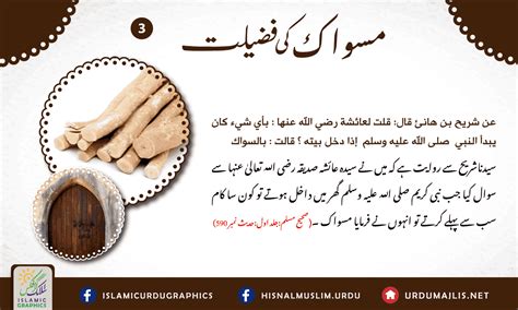 مسواک کی فضیلت محدث گرافکس لائبریری