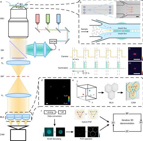 Xuanwen Hua On Linkedin Light Field Flow Cytometry For High Resolution Volumetric And