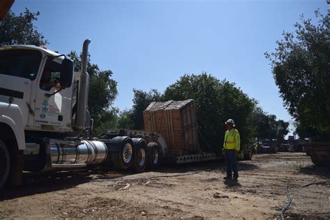 Expert Tree Relocation Service In California Any Palm Or Tree