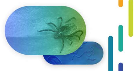 Incite Health Inc Announces The Launch Of A New Paradigm In Lyme Disease Testing Ein Presswire