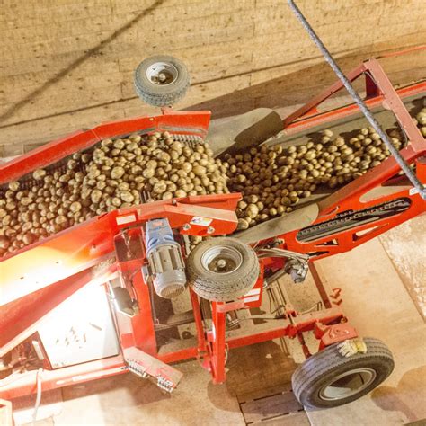 Small Frame Piler Potato Equipment Spudnik Equipment