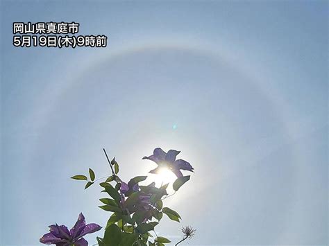 西日本でハロが出現 太陽の周囲に光のリング ウェザーニュース