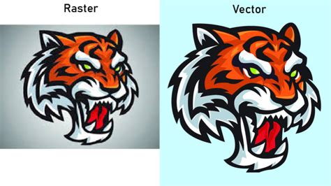 vector trace recreate redraw convert logo and image by rony 7 fiverr