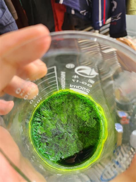 Cucl2 Crystals Turned Liquid Rchemistry