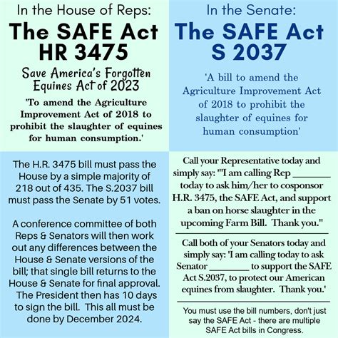 Safe Act