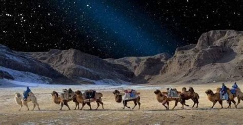 ӨӨДӨӨ Тэмээн жингийн цуваа нь эд баялаг тасрахгүй байхыг Facebook