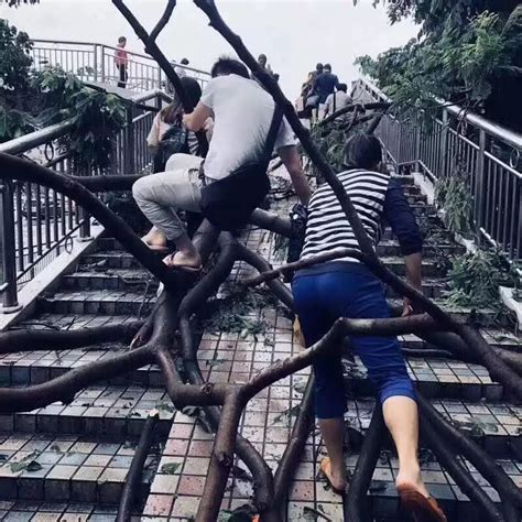 气温直降 中秋小长假苏州气温降至1字头苏城
