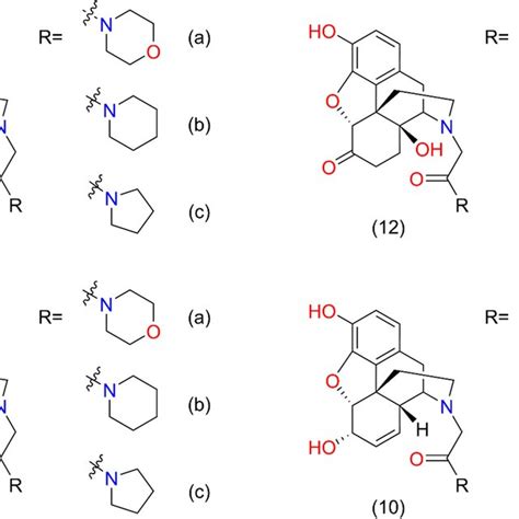 Derivatives Used For The Assays Download Scientific Diagram