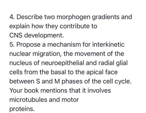 Solved 4 Describe Two Morphogen Gradients And Explain How