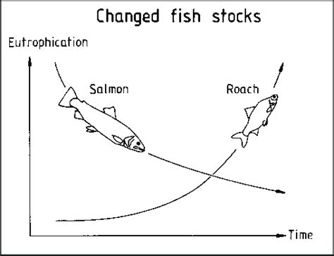 24 Eutrophication And Fish Stocks With Increasing Eutrophication