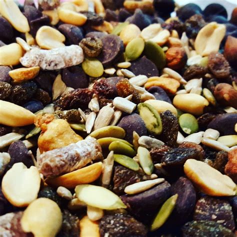 Dark Chocolate Trail Mix The Sensible Vegan