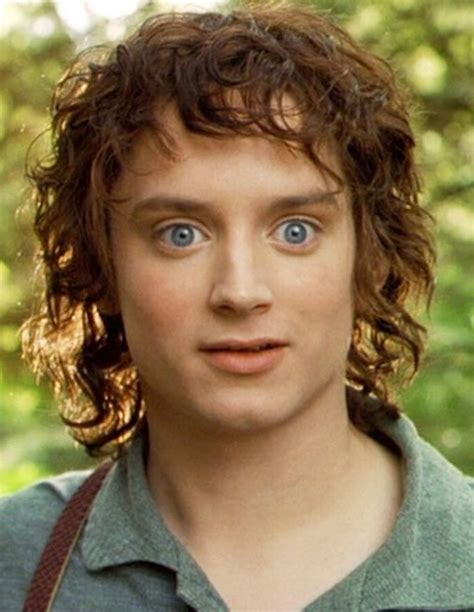 Фродо Бэггинс 63 цитаты персонажа