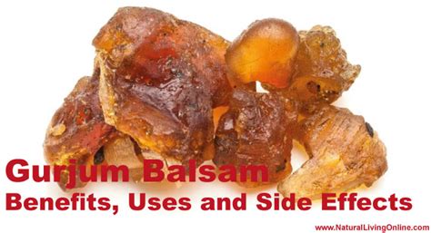 Gurjum Balsam Essential Oil A Guide To Benefits Uses And Side Effects