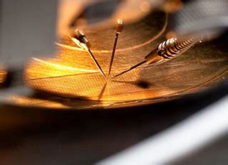 Source Gated Transistor Could Pave The Way For Flexible Gadgets Research Development World