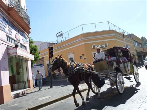 Guadalajara Mexico Crazy Sexy Fun Traveler Travel Blog About
