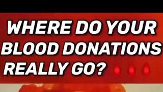 Where Does Your Blood Really Go After A Donation To Help The Sick