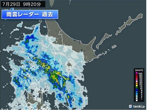 北海道で1時間に20ミリ以上の強雨 明日30日にかけ北海道と東北の日本海側で大雨気象予報士 小野 聡子 2024年07月29日 日本