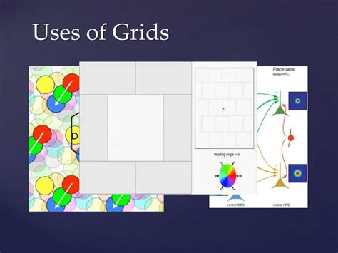 Ppt Microstructure Of A Spatial Map In The Entorhinal Cortex